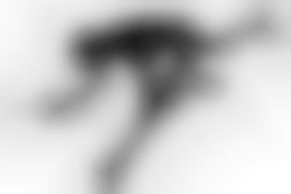 50 Human-Furniture Hybrids