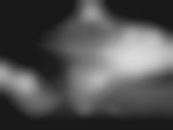 100 Self-Destructing Captures