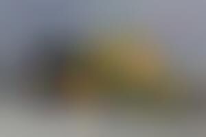 Reverse Trikes : GG Taurus