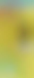 Fast Food Figures : American Dudes and Fast Food Infographic