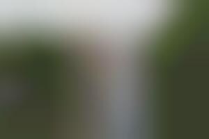 Monstrous Eiffel Tower Decks : Neckface for Public Domaine Skateboards