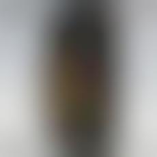 Retrofied Mobiles : Rotary Mechanical Smartphone