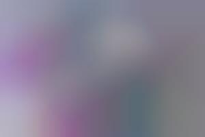 Silicone Storage Solutions : Sai Wall Storage Unit