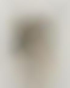 Humanimal Paintings : Jen Mann