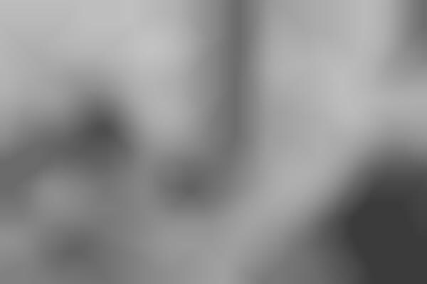 Adolescent Action Candids : Jack Toohey