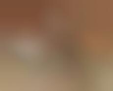 Farmhouse Family Photos : Rob Macinnis Photography