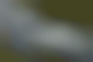 Streamlined Riverside Structures : Project Eco Link