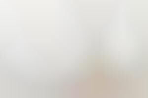 Translucent Baby Cribs : BabyBjorn Bassinet Harmony