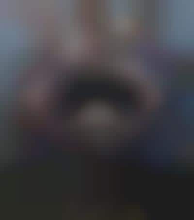 96 Vivacious Vintage Editorials