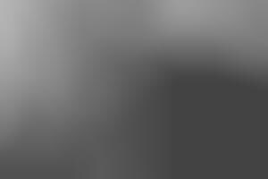 Bohemian Beauty Photography : Fox Harvard