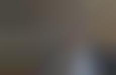 Barb Stegemann, CEO of The 7 Virtues (INTERVIEW) : Barb Stegemann