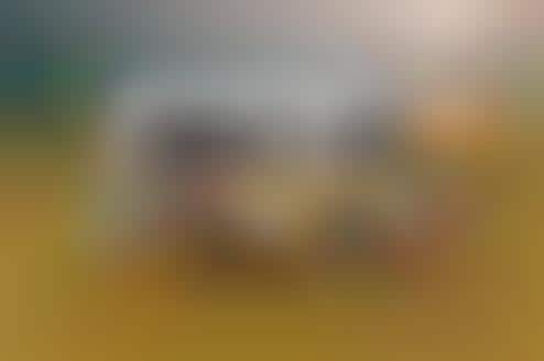 3D Caravan Calendars : Curiosity Group Calendars