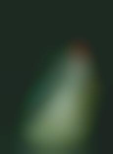 Chronologically Correct Royalty : Historically Correct Disney Princesses