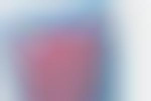 Adorable Anatomical Dolls : I Heart Guts Intestine Plush