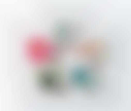 Multi-Legged Magnet Art : Insect Fridge Magnets