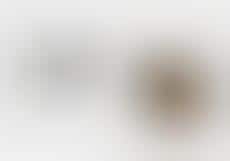 Veggie Vanity Portraits : Vegetable Study