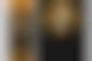 Luxurious Java Roasts : Ospina Dynasty Coffee