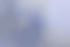 Elegant Paper Dishware : Finest Paperware