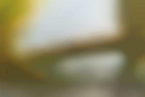 58 Beautifully Extravagant Bridges