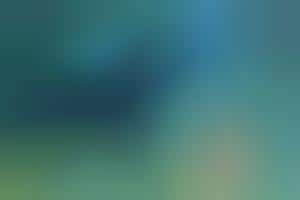 Morbid Mythological Creatures : Mitchell Landsman