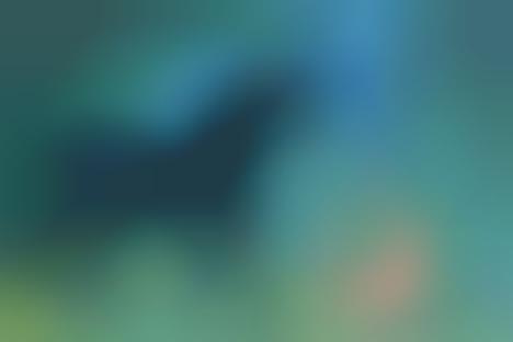 Morbid Mythological Creatures : Mitchell Landsman