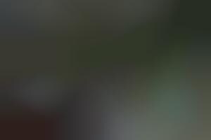 Entertaining TV Portraits : TV Portraits