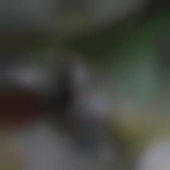 Entertaining TV Portraits : TV Portraits