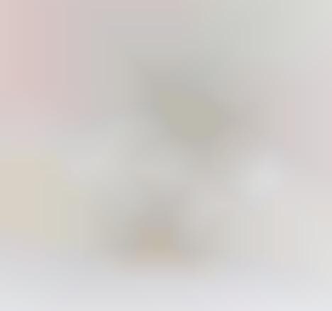 Hybrid Animal Oddities : Debra Broz