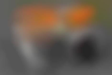 Two-Person Accessible Seating : Tandem Electric Wheelchair