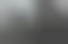 Twisted Beastly Sculptures : Tomohiro Inaba