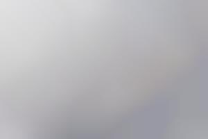 Adorable Animal Tail Mice : Elecom Nendo Oppopet Mouse