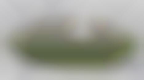 Cutaway Leaf Art : Lorenzo Duran