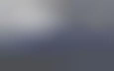 Tangled High-Traffic Viaducts : Living Bridge