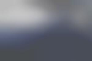 Tangled High-Traffic Viaducts : Living Bridge