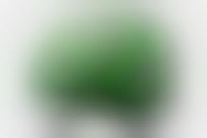 Melon Head Protectors : Nutcase Watermelon Helmet