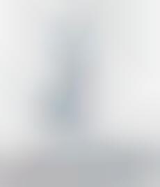 Multi-Compartmental Showers : the Totem