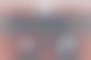 Re-Imagined Patriotic Slogans : State Mottos Project