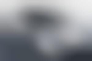 Lizard-Inspired Vehicles : Shelby SuperCars Tuatara