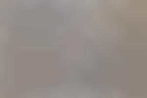 Graffiti Template Art : Protest Stencil Toolkit