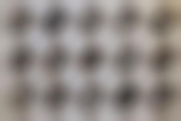 Graffiti Template Art : Protest Stencil Toolkit