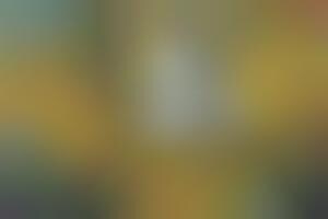 Duct-Tape Wallets: Hand-Made db Clay Designs