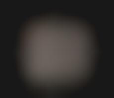 Celebrity Lunch Boxes: The Charity Lunchbox Auction