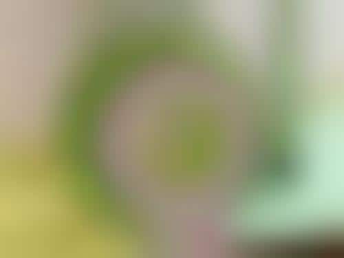 14 Sustainable Eco Cameras