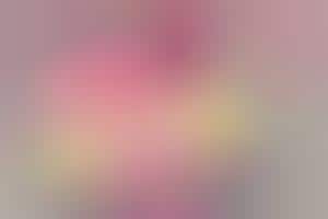 Undies Wrapped Like Candy Part II: Sweet Juicy Couture Panties