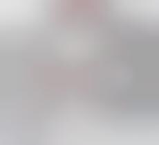 See Through Briefcase: Skeleton Attache