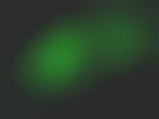 Glow-in-the-Dark Animals: Fluorescent Green Pigs