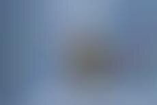 Luxury Steel Box Home on Stilts: Delta Shelter