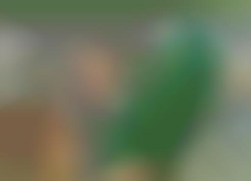 30 Peculiar Pickled Innovations