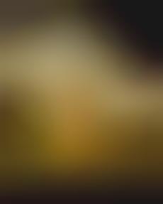 Antique Pet Portraits : Andrew Pinkham