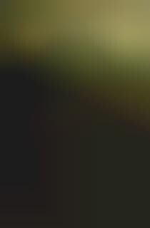 Cropped Iconic Paintings : Mike Guppy Selected